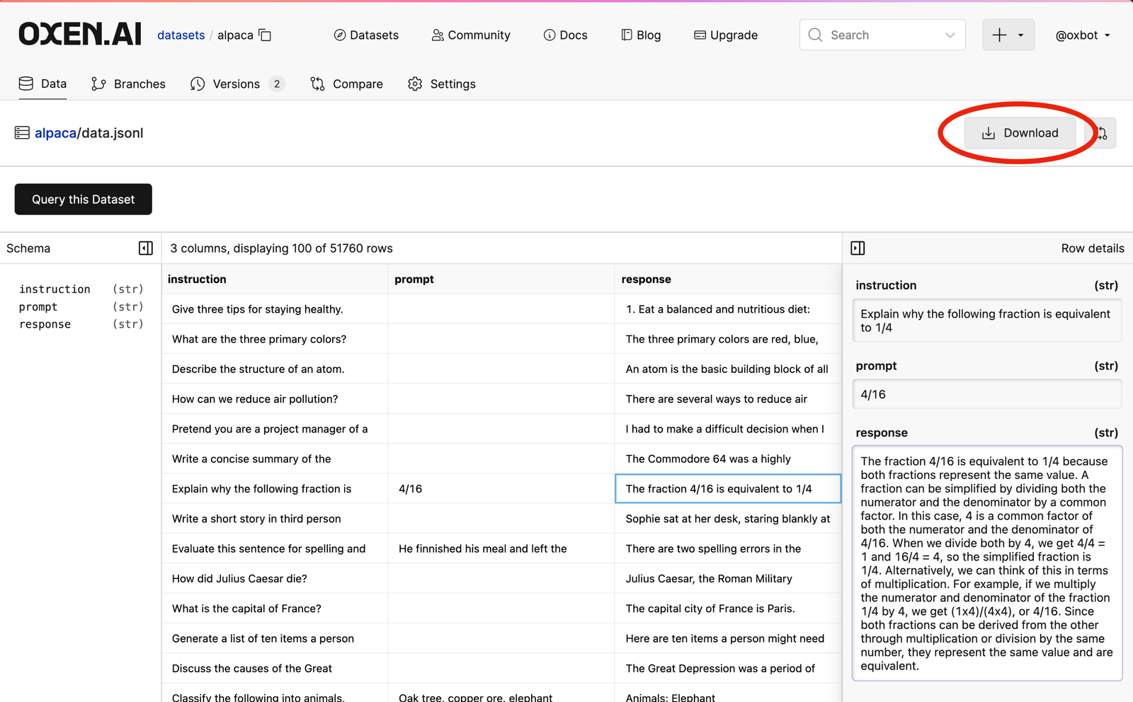 Downloading Datasets with Oxen.ai | Oxen.ai